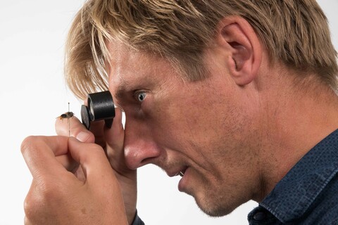 Vincent Kalkman | Natuurwijzer